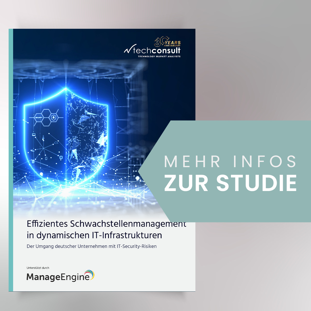 Effizientes Schwachstellenmanagement in dynamischen IT-Infrastrukturen ...