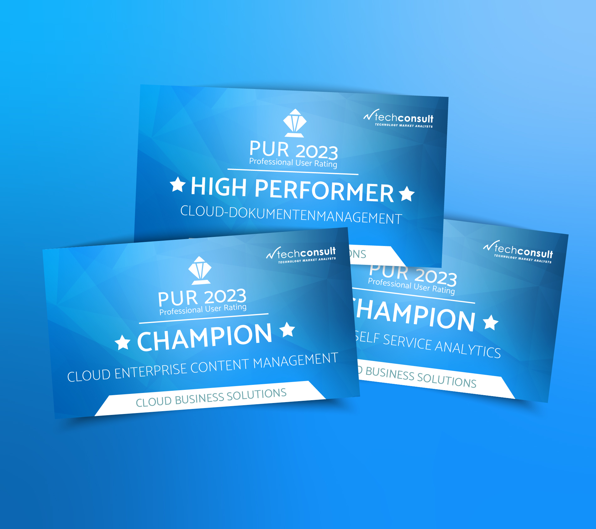 Professional User Rating: Cloud Business Solutions 2023 - techconsult GmbH