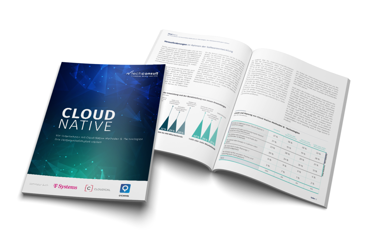 Cloud Native - techconsult GmbH