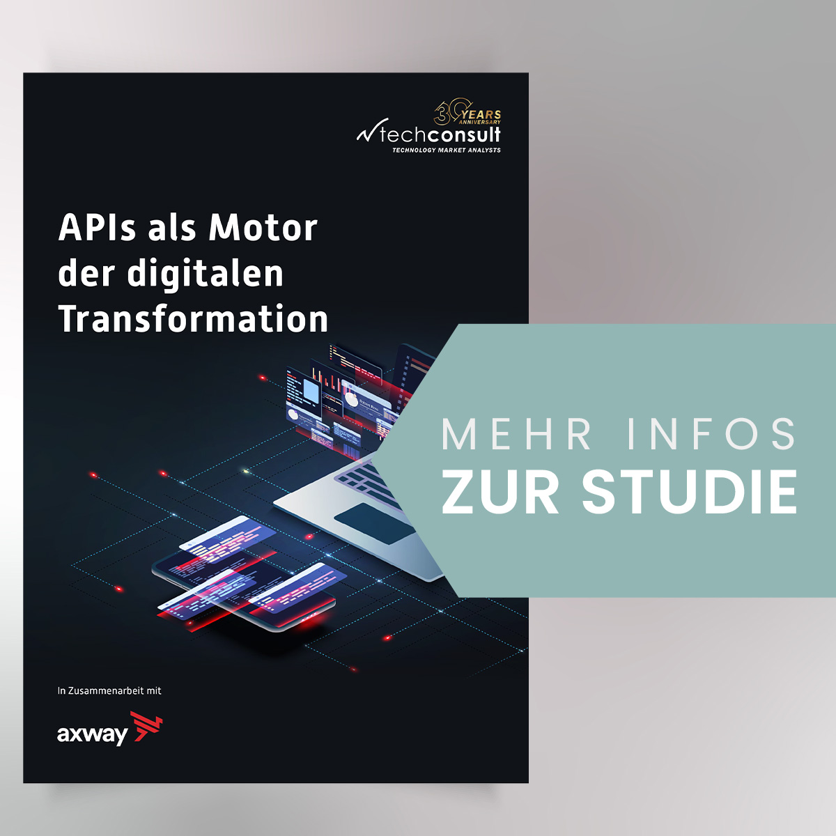 API als Motor der digitalen Transformation! - techconsult GmbH