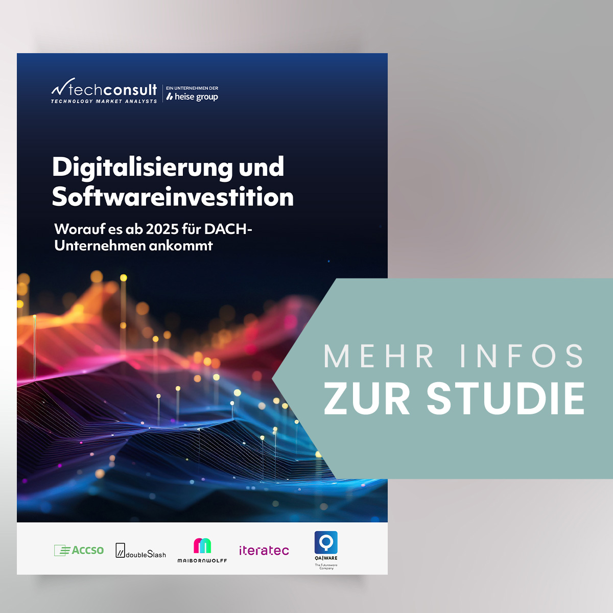 Software-Individualisierung bei deutschen Großunternehmen - techconsult GmbH