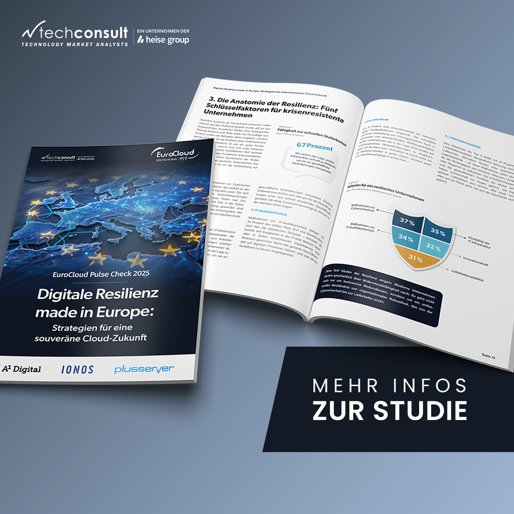 EuroCloud Pulse Check 2025 - techconsult GmbH