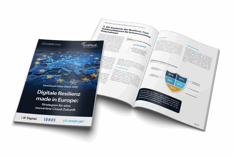 EuroCloud Pulse Check 2025 - techconsult GmbH